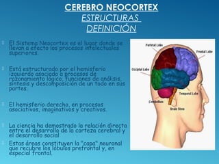 Cerebro triuno | PPT