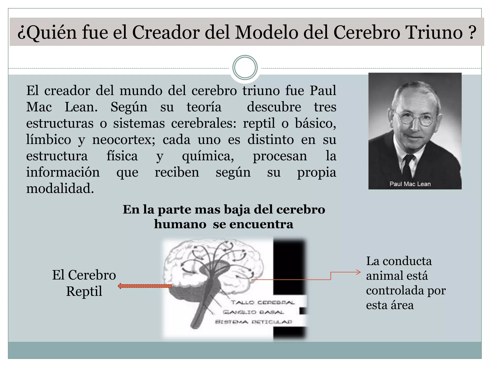 Cerebro triuno | PPTX