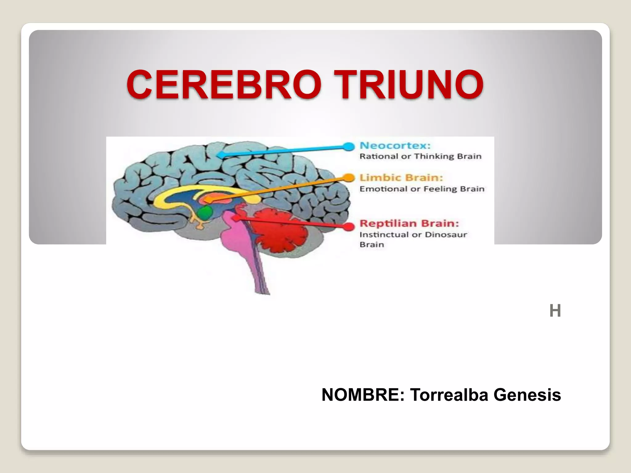 Cerebro triuno | PPTX | Brain and Nervous System Disorders | Diseases ...