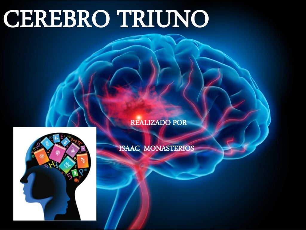 Cerebro Triuno