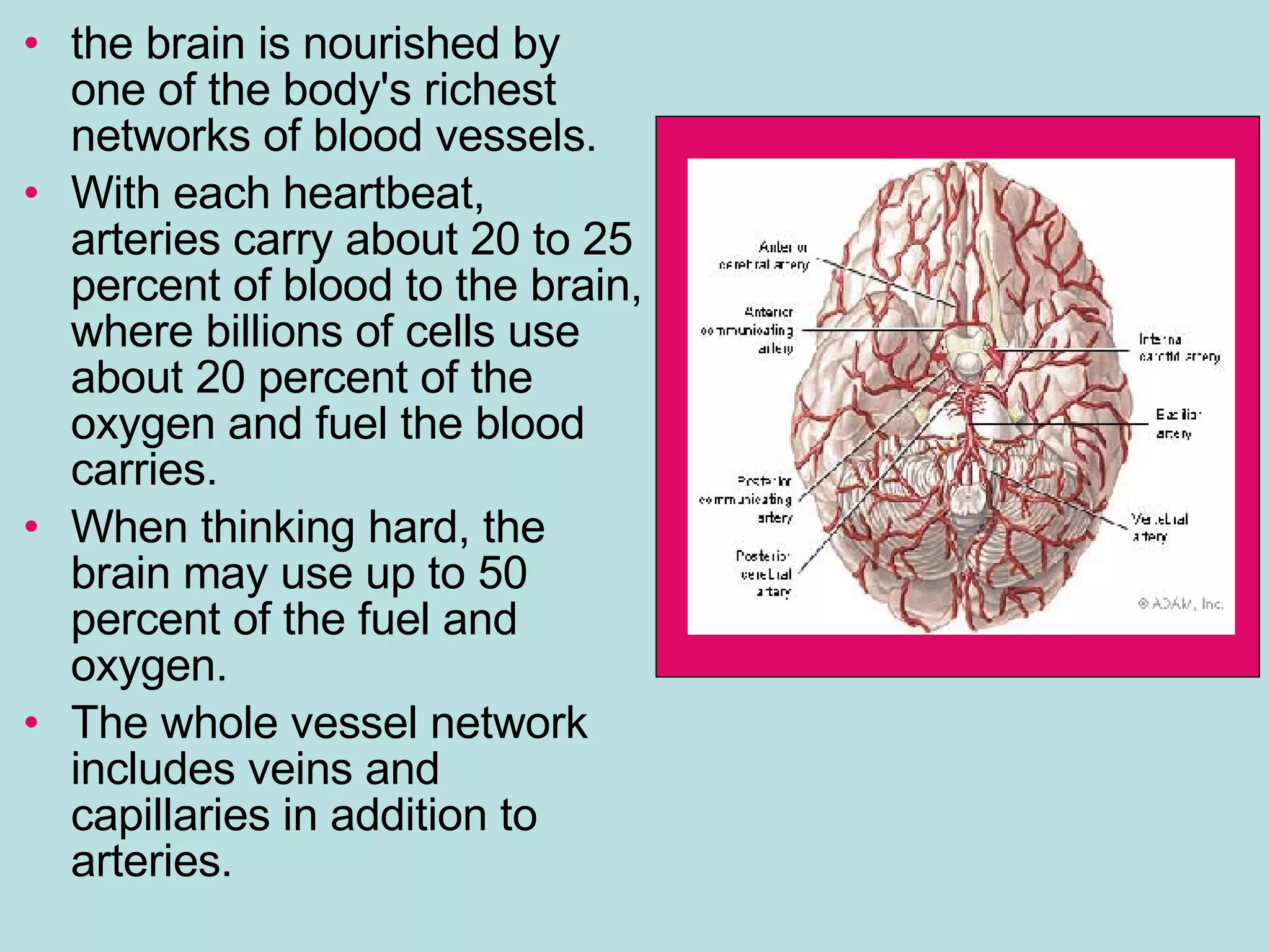 Cerebrovascular Accident (CVA) | PPT