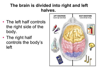 Cerebrovascular Accident (CVA) | PPT