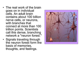 Cerebrovascular Accident (CVA) | PPT