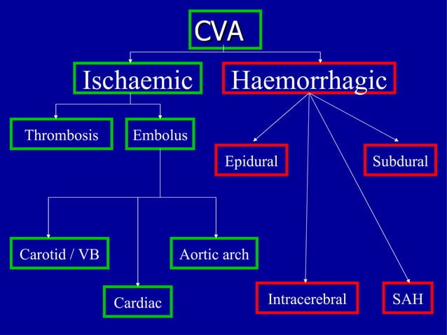 Cerebrovascular disease (CVA / Stroke) | PPT | Brain and Nervous System ...