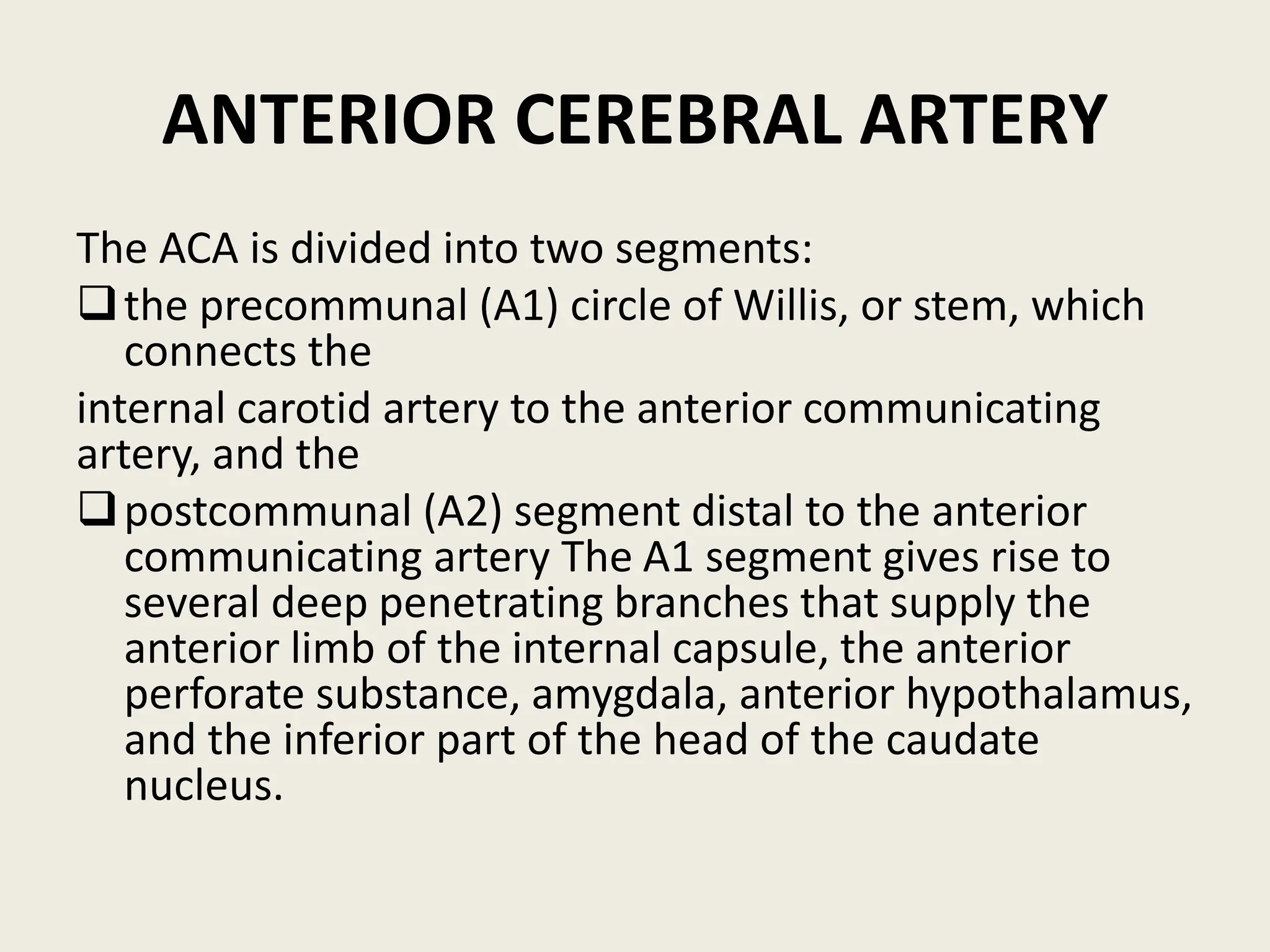 Cerebrovascular Diseases - Strokes and Their Etiology with Cerebral ...