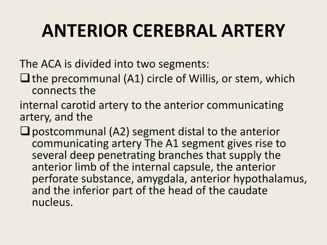 Cerebrovascular Diseases - Strokes and Their Etiology with Cerebral ...