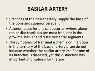 Cerebrovascular Diseases - Strokes and Their Etiology with Cerebral ...