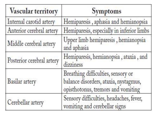 Localisation of stroke | PPTX