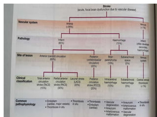 Localisation of stroke | PPTX