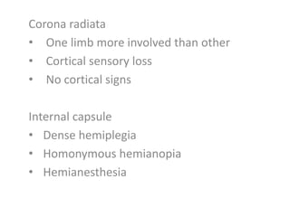 Localisation of stroke | PPTX