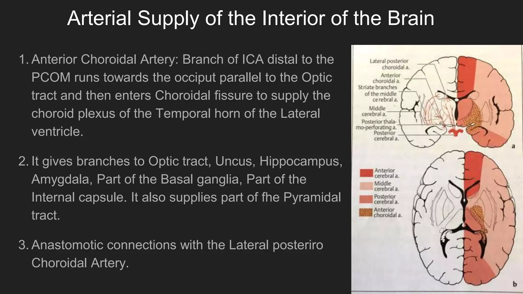 Cerebrovascular anatomy | PPTX