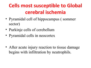Cerebrovascular disease pathology stroke | PPT