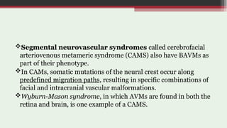 Imaging in Cerebrovascular Malformations | PPT