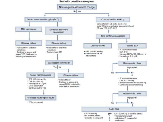 Cerebrovascular Vasospasm - Etiopathogenesis and Management | PPTX ...