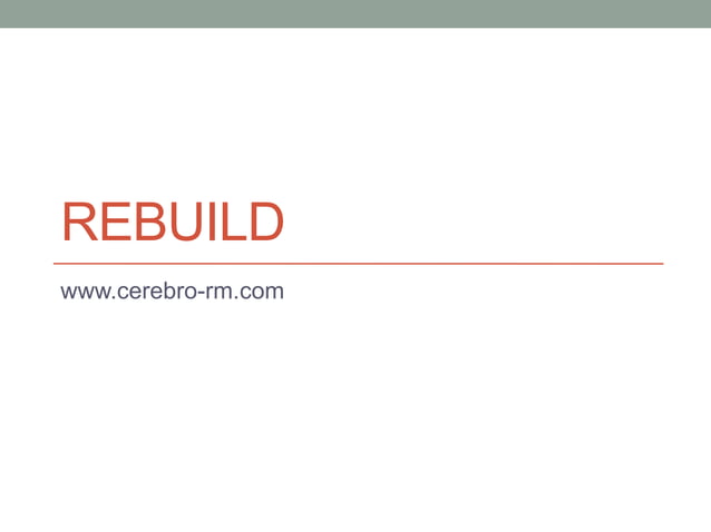 Cerebro work process | PPTX