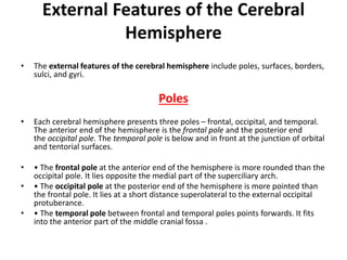 Cerebrum-1.pptx