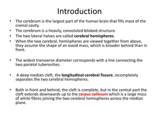 Cerebrum-1.pptx