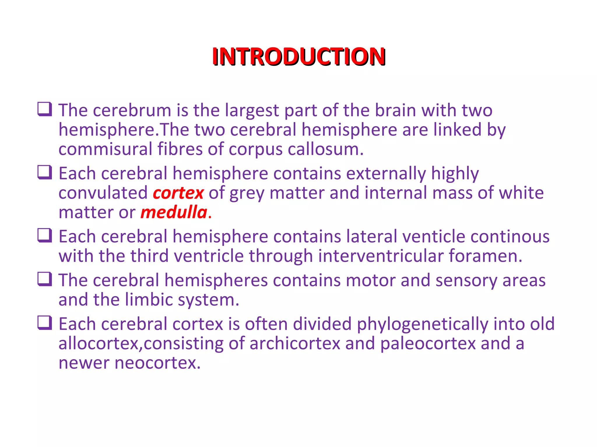 Cerebrum | PPT