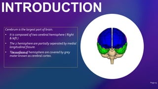 cerebrum ,corpus callosum, basal nuclei .pptx