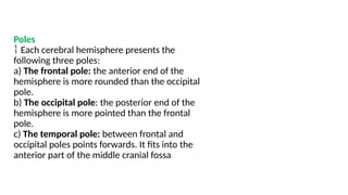 anatomy of cerebrum ( external features) .pptx