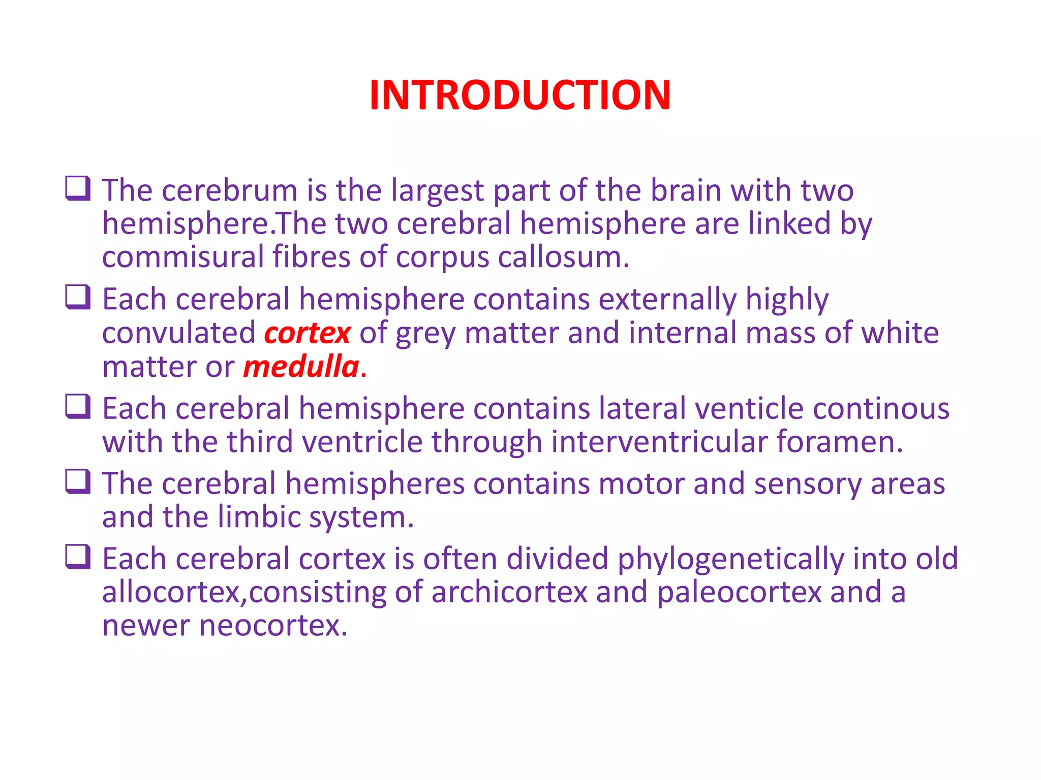 CEREBRUM-SUMMARY_1.pptx