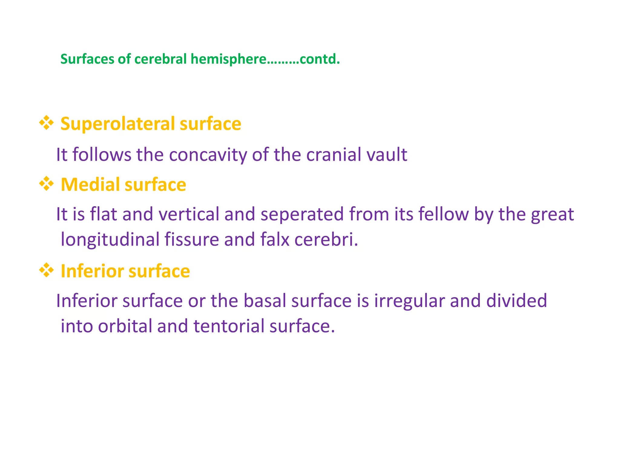CEREBRUM-SUMMARY_1.pptx