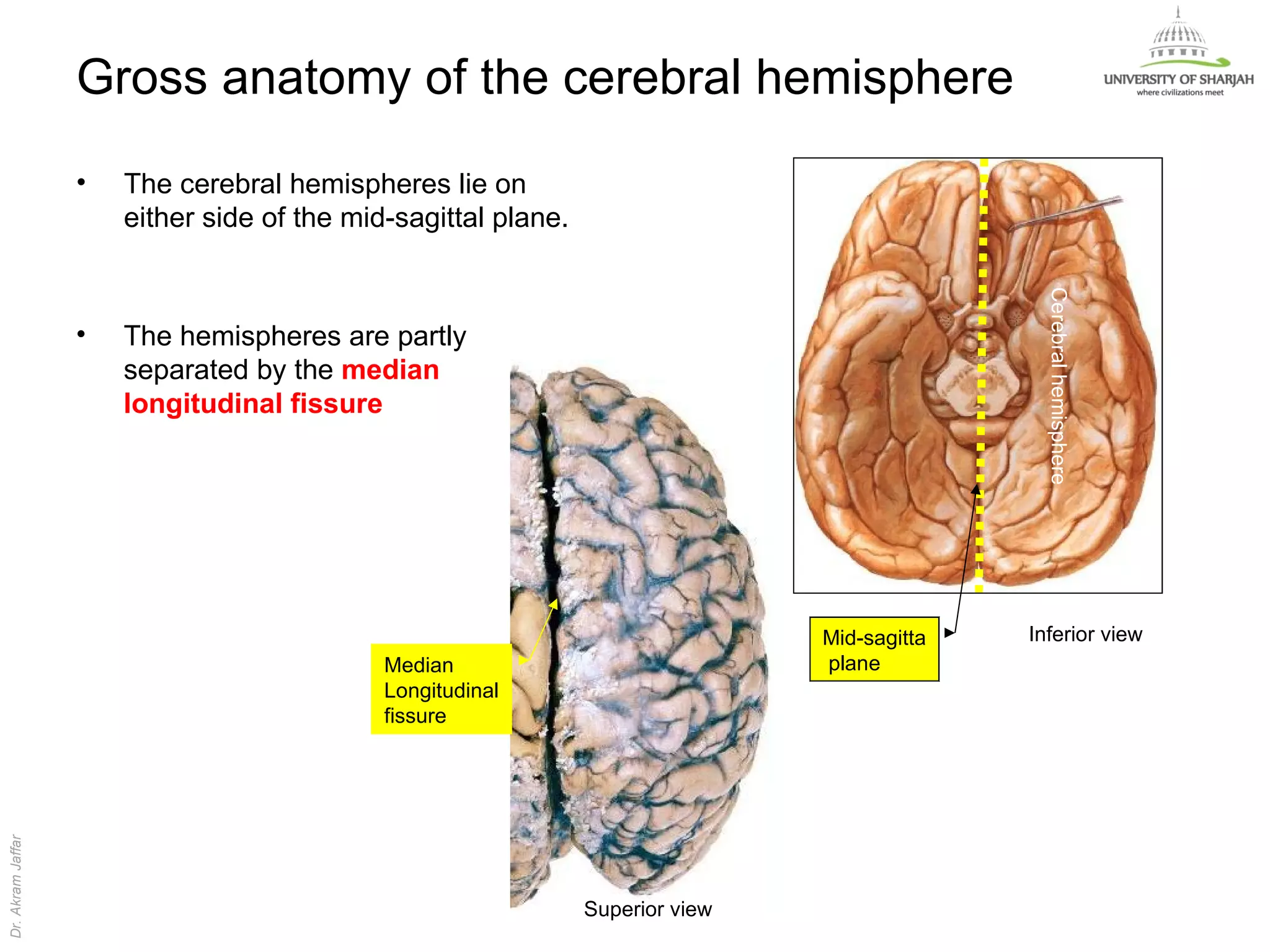 1 | PPT | Brain and Nervous System Disorders | Diseases and Conditions