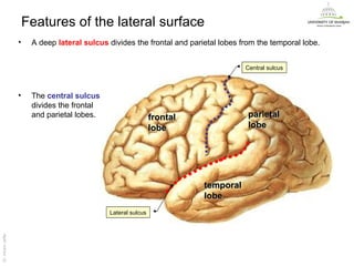 1 | PPT