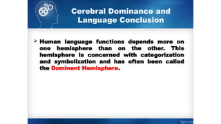 CEREBRUM, CEREBRAL DOMINANCE & LANGUAGE CONCLUSION.pptx