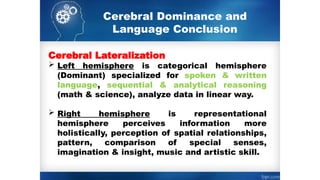CEREBRUM, CEREBRAL DOMINANCE & LANGUAGE CONCLUSION.pptx