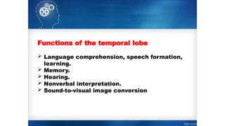 CEREBRUM, CEREBRAL DOMINANCE & LANGUAGE CONCLUSION.pptx