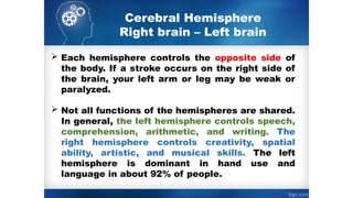 CEREBRUM, CEREBRAL DOMINANCE & LANGUAGE CONCLUSION.pptx