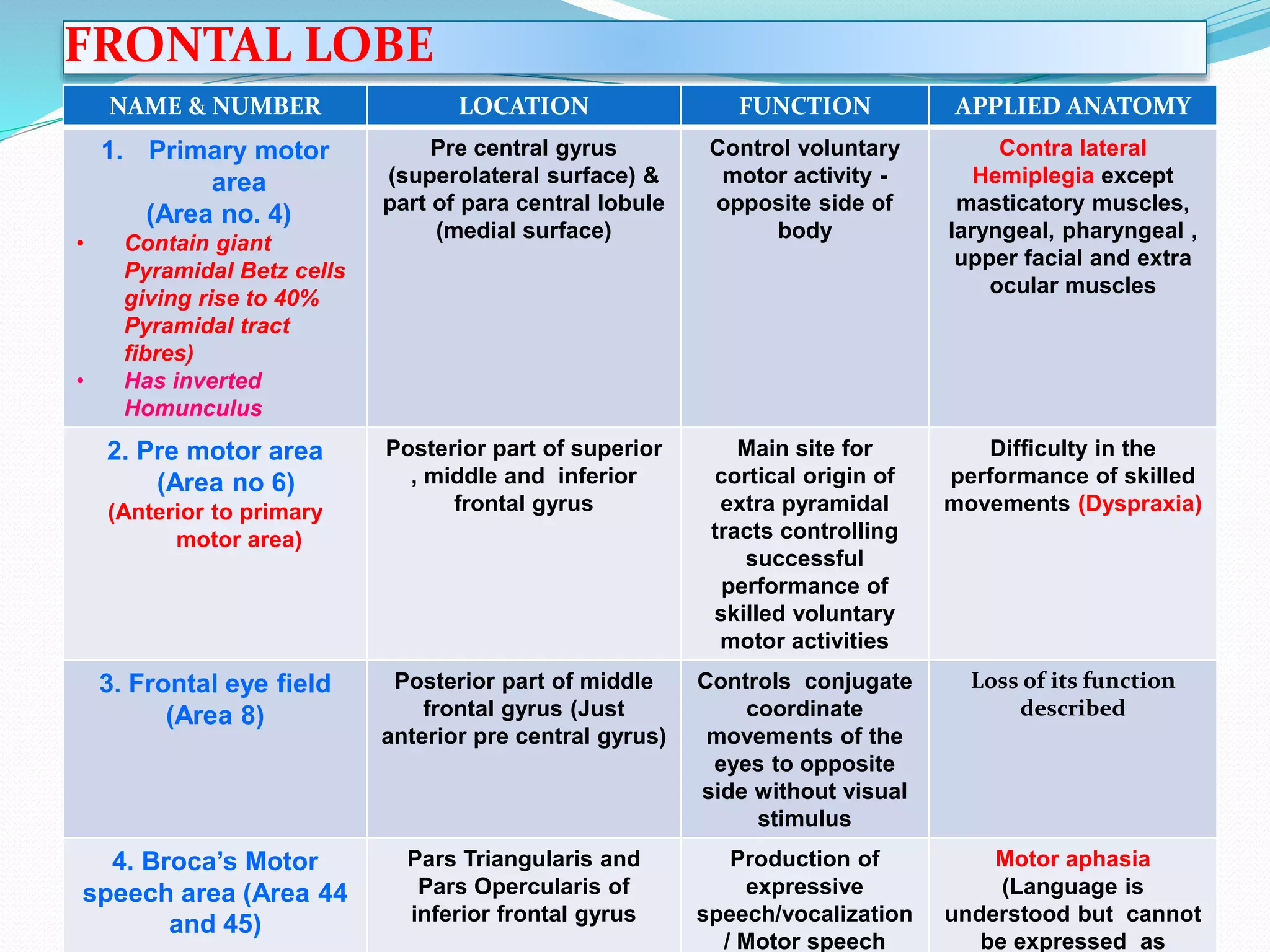 CEREBRUM - FUNCTIONAL AREAS | PPTX