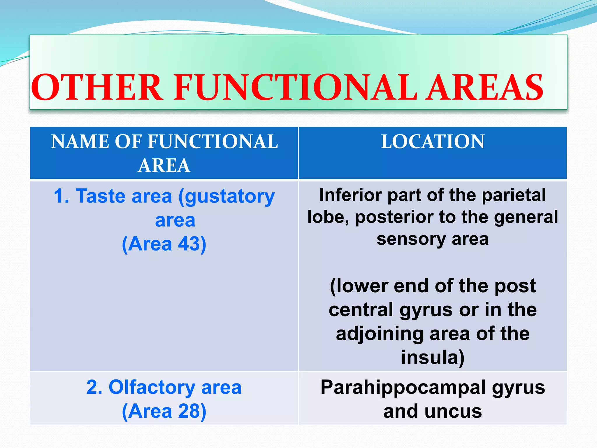 CEREBRUM - FUNCTIONAL AREAS | PPTX