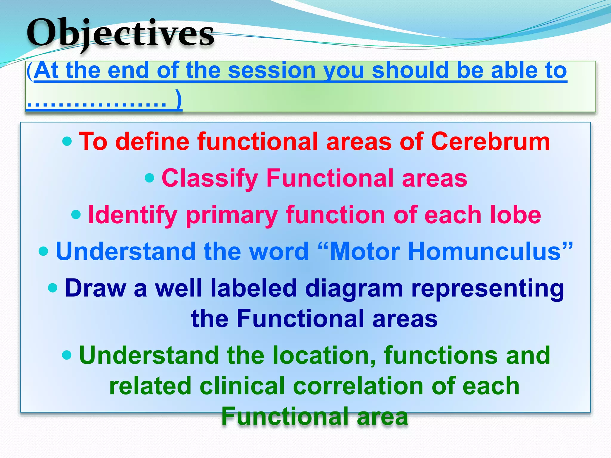 CEREBRUM - FUNCTIONAL AREAS | PPTX