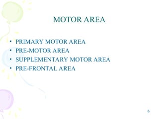 CEREBRUM functional areas neuroanatomy.ppt