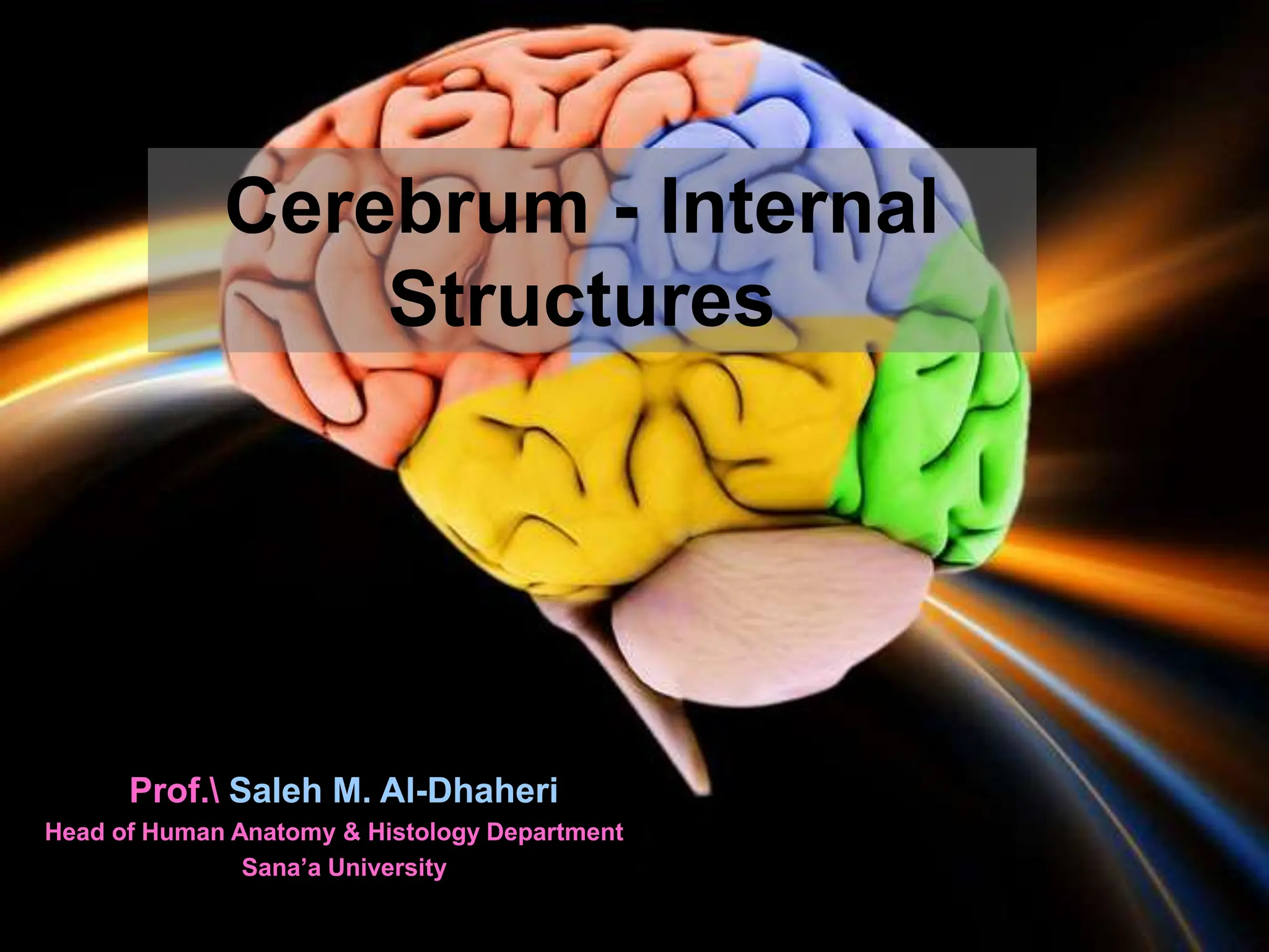 Cerebrum_Internzzzzzzzzzzzzal Structure.ppt