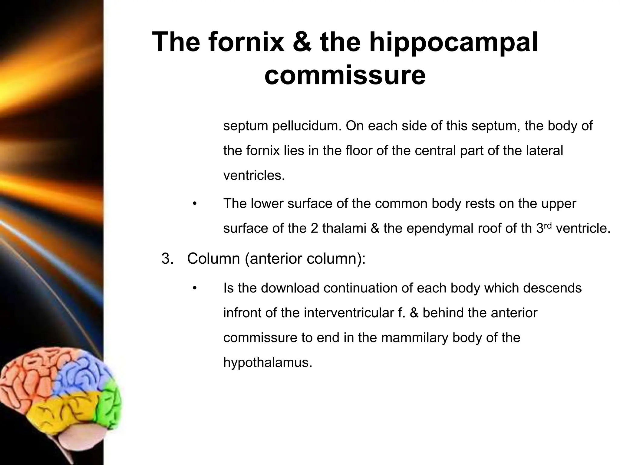 Cerebrum_Internzzzzzzzzzzzzal Structure.ppt