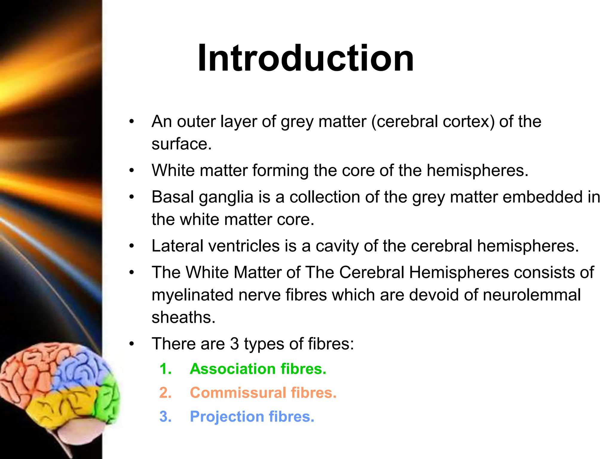 Cerebrum_Internzzzzzzzzzzzzal Structure.ppt