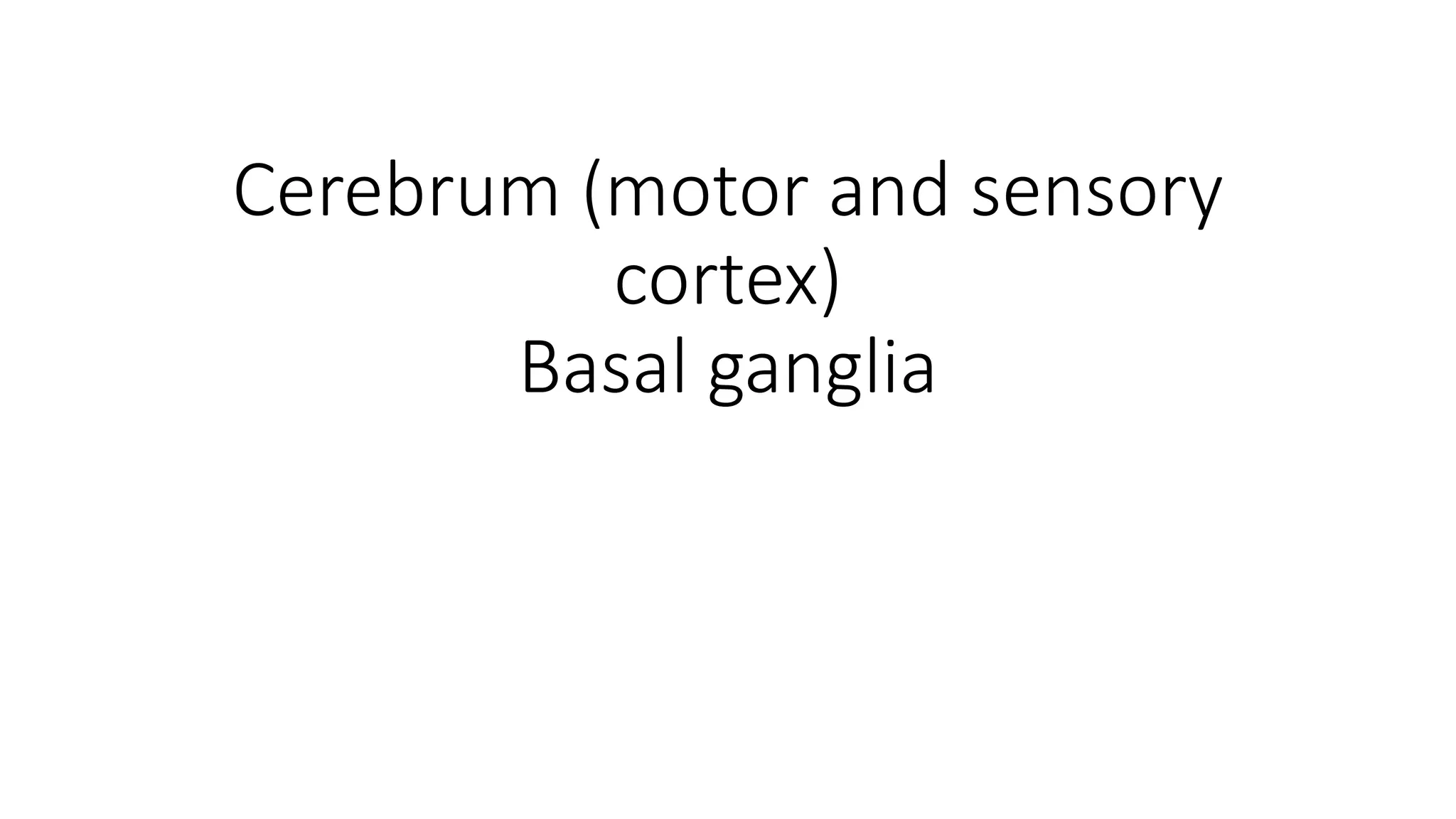 Cerebrum (motor and sensory cortex) + basal ganglia.pptx