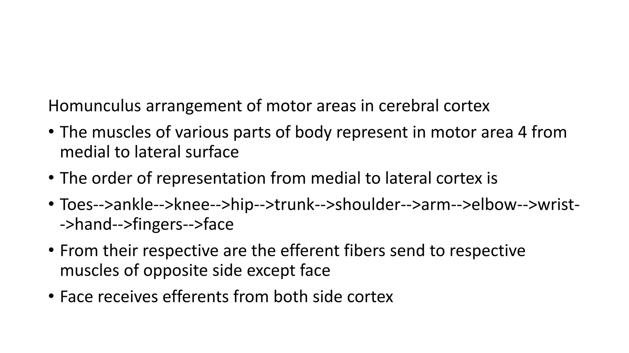 Cerebrum (motor and sensory cortex) + basal ganglia.pptx