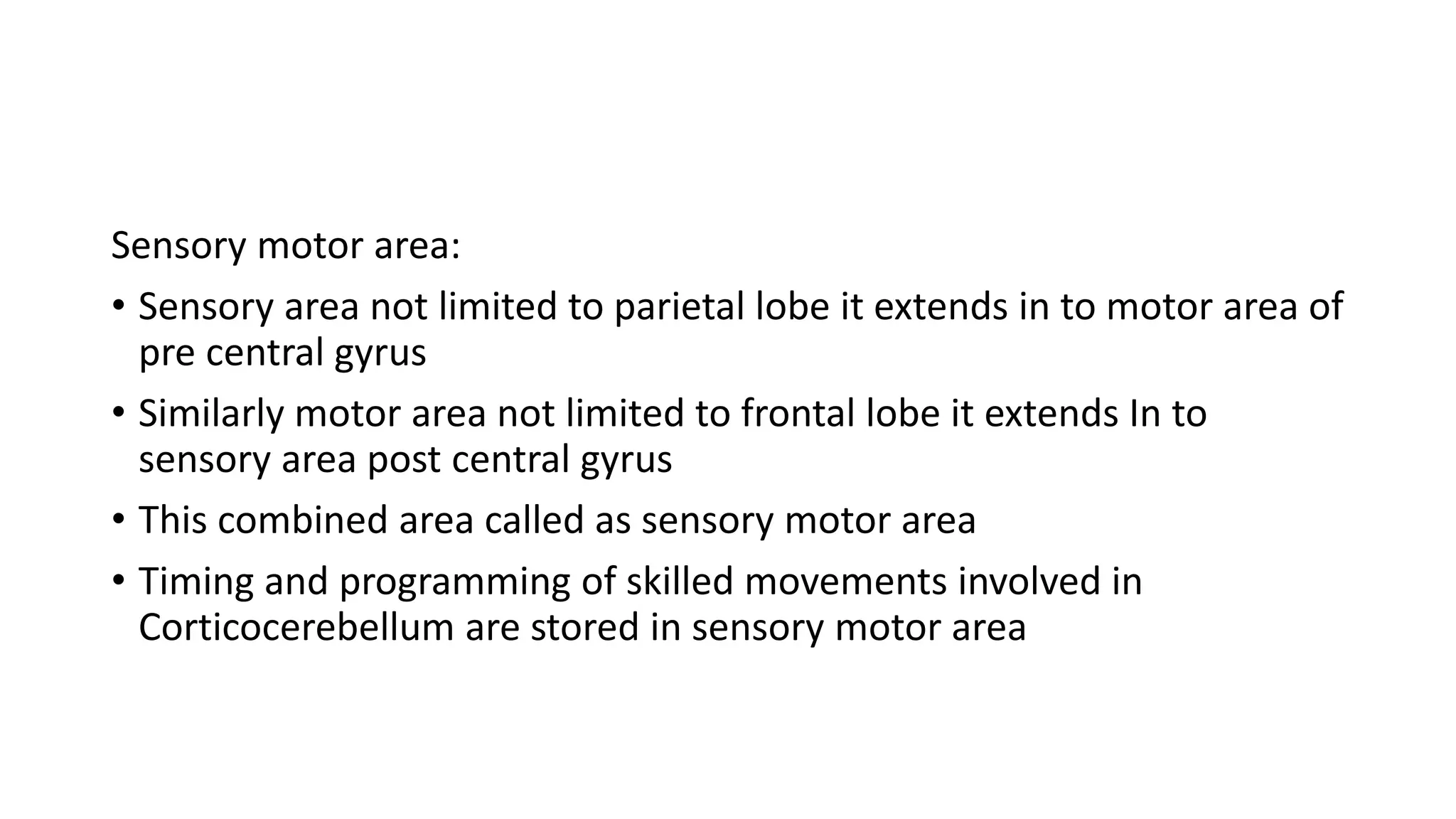Cerebrum (motor and sensory cortex) + basal ganglia.pptx