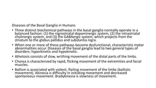 Cerebrum (motor and sensory cortex) + basal ganglia.pptx