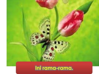 Cerita Binatang 'Rama-Rama' | PPTX