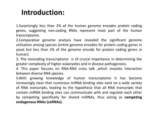 Competing Endogenous RNA | PPTX