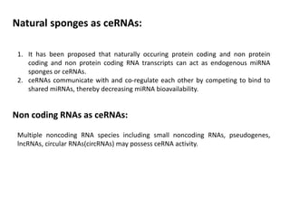 Competing Endogenous RNA | PPTX
