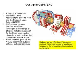 Cern | PDF