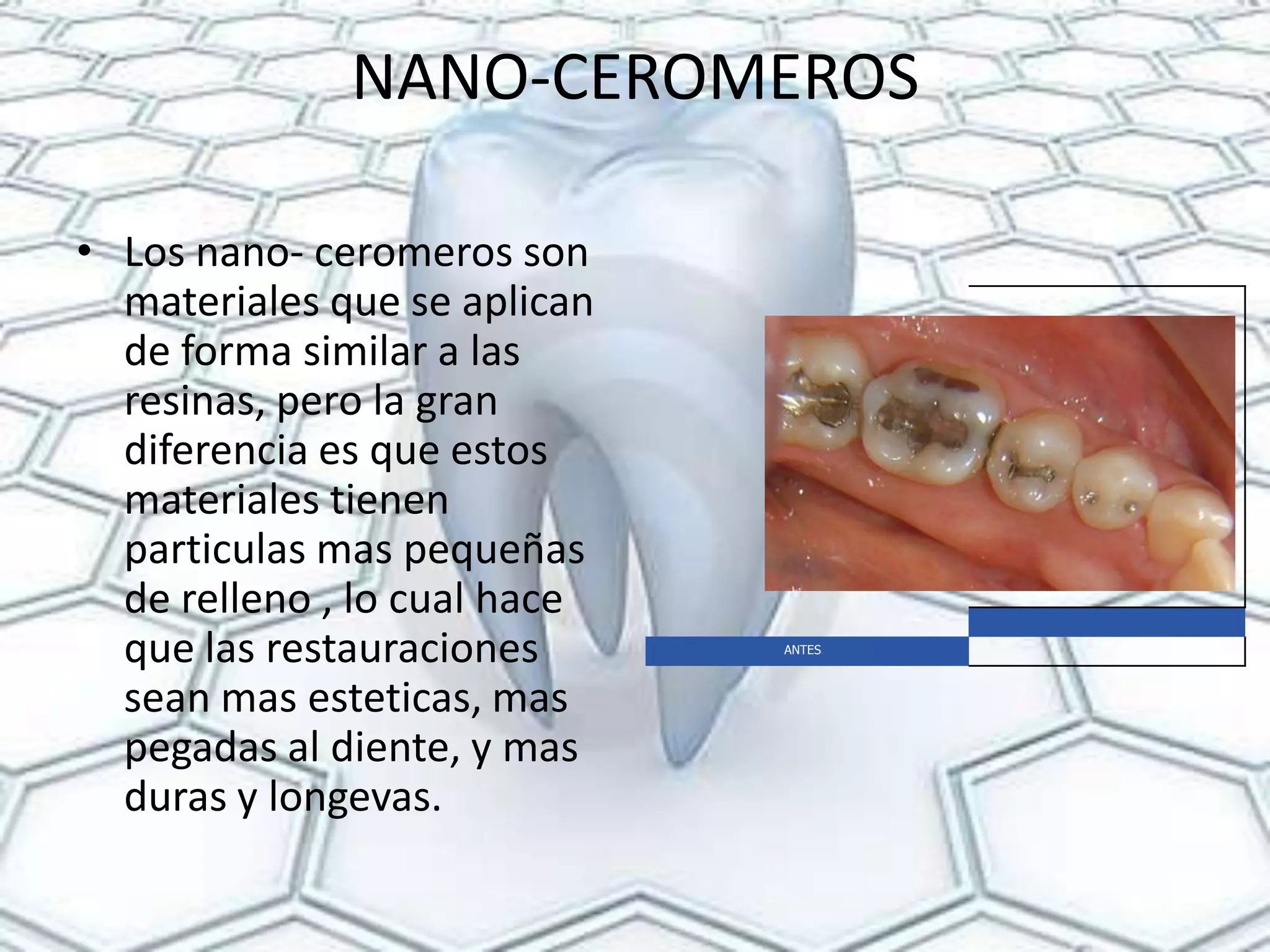 Ceromeros | PPTX