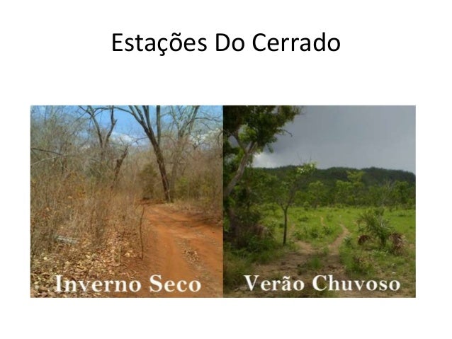 Domínio Morfoclimático Do Cerrado