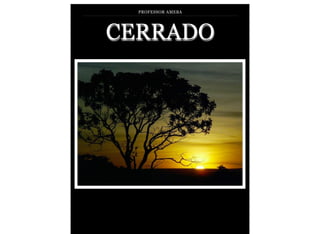 CERRADO | PDF